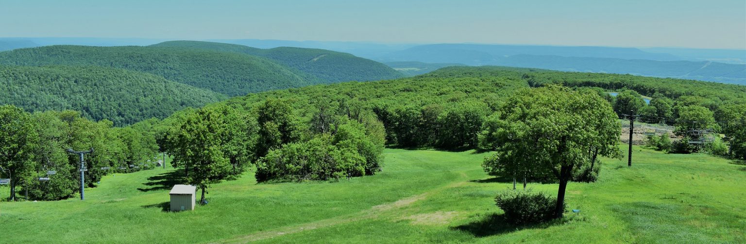 BLUE-KNOB-SUMMER-VIEW – Blue Knob