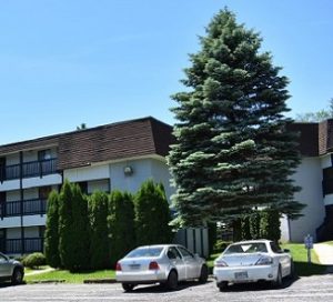 Blue Knob All Seasons Resort Accommodations